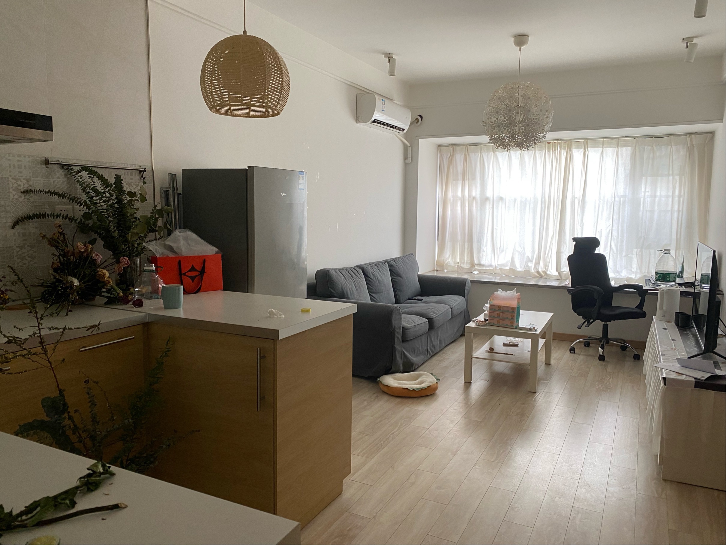 Chengdu-Gaoxin-套一-🏠