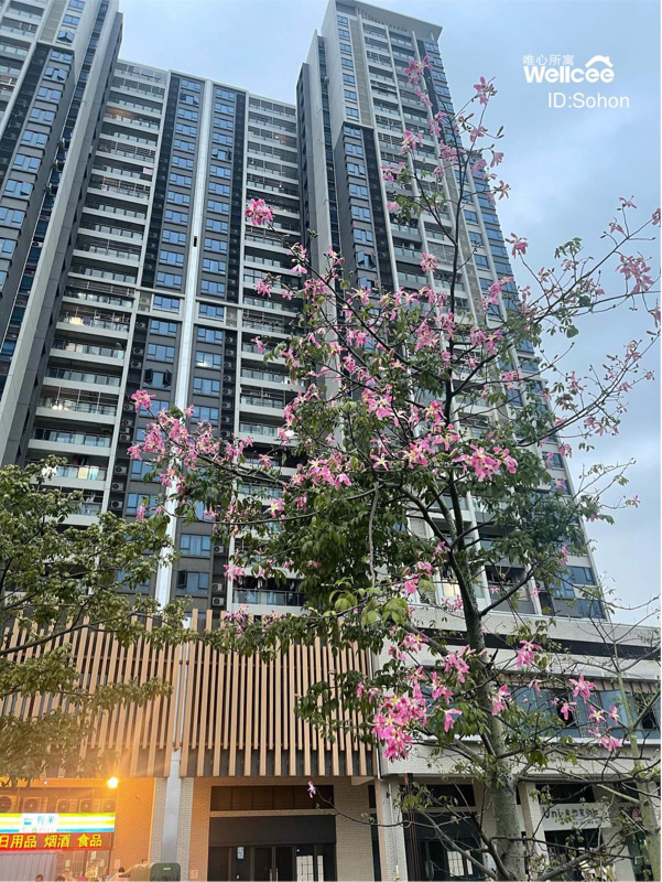 Guangzhou-Panyu-Sublet-Long & Short Term