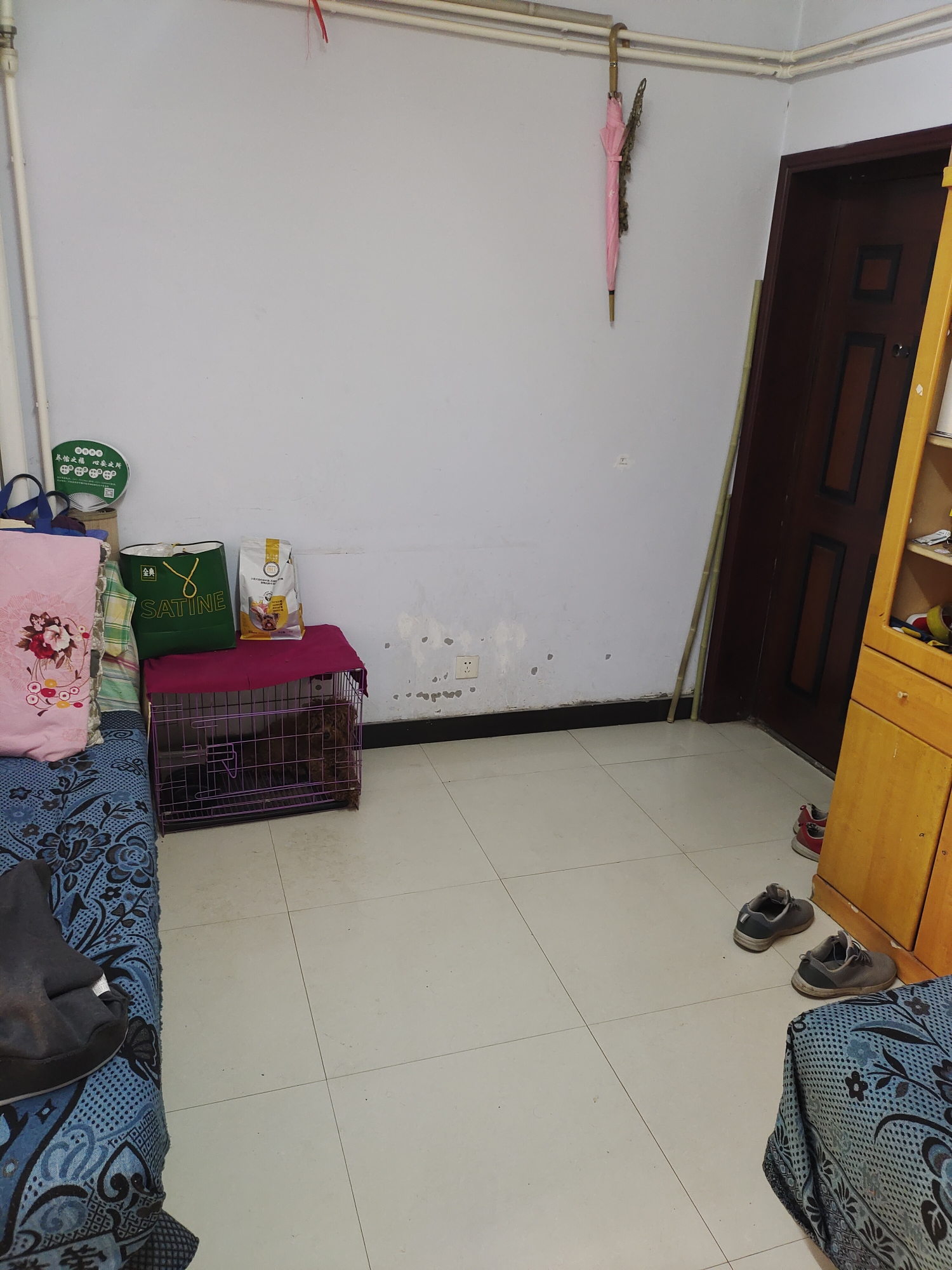 Zhengzhou-Jinshui-Long Term-Pet Friendly Zhengzhou-Jinshui-Long Term-Pet Friendly