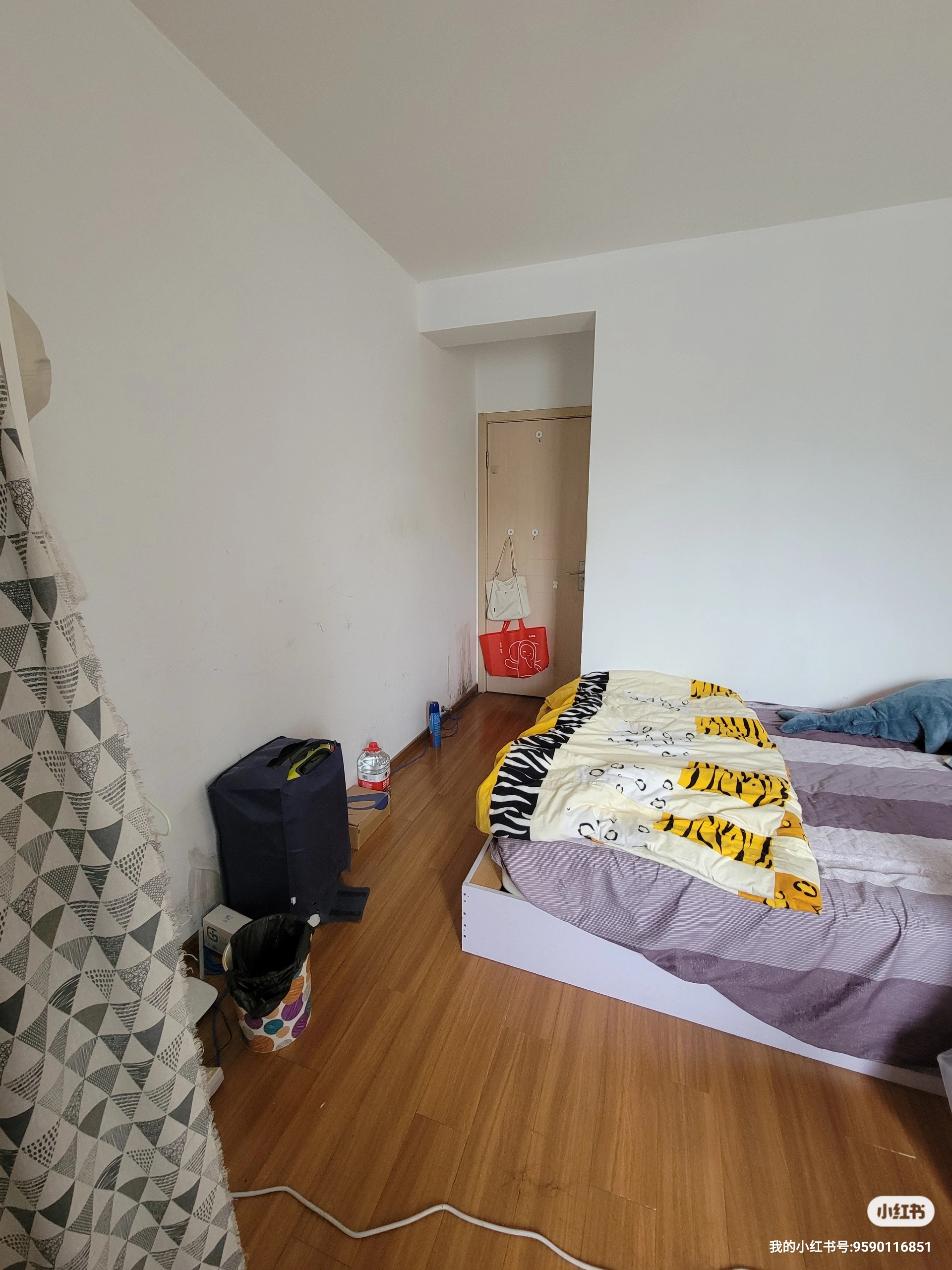 Shanghai-Yangpu-Cozy Home-No Gender Limit-Hustle & Bustle