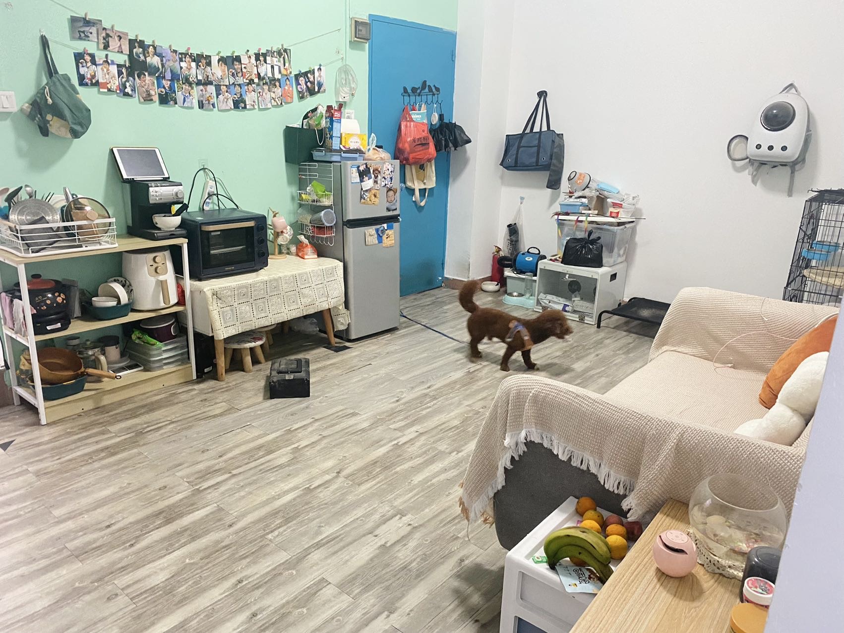 Guangzhou-Haizhu-Cozy Home-Clean&Comfy-No Gender Limit-Hustle & Bustle ...